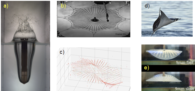 AA: AA 598 Virtual & Experimental Structural Dynamics – SPR 24 | ECE ...